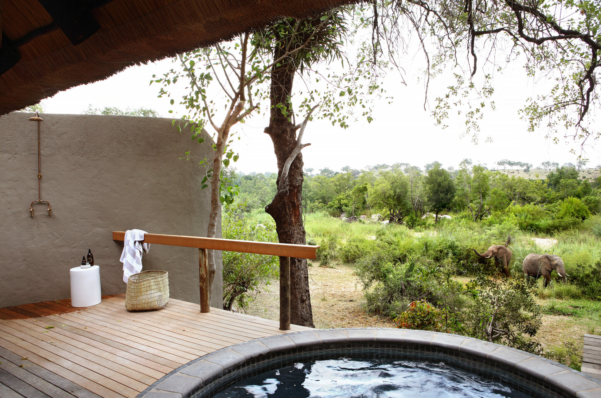 Varty Camp - Original Luxury Safari Camp Kruger | Londolozi Game Reserve