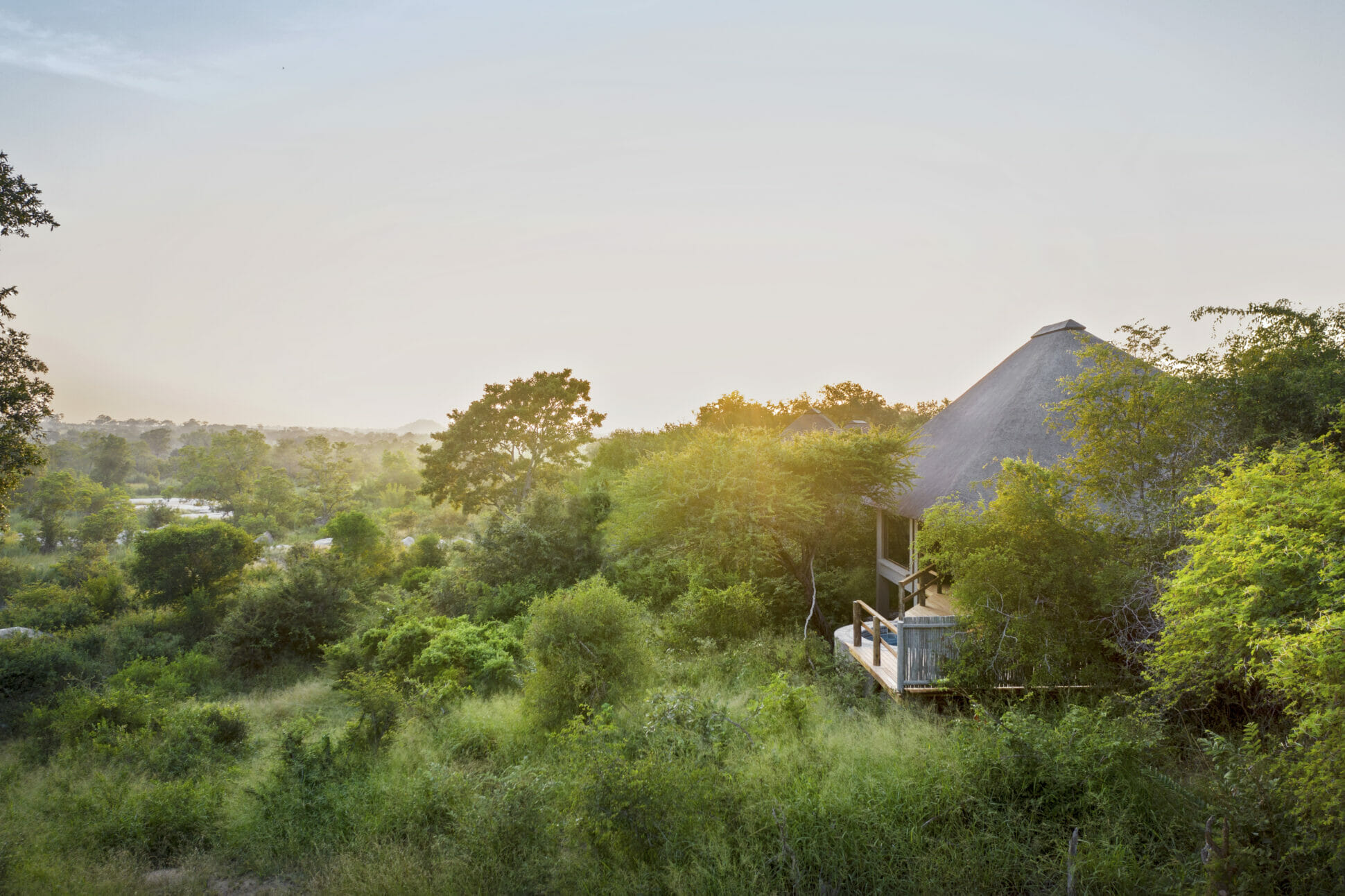 South Africa's Premier Luxury Safari Lodge | Londolozi Game Reserve ...