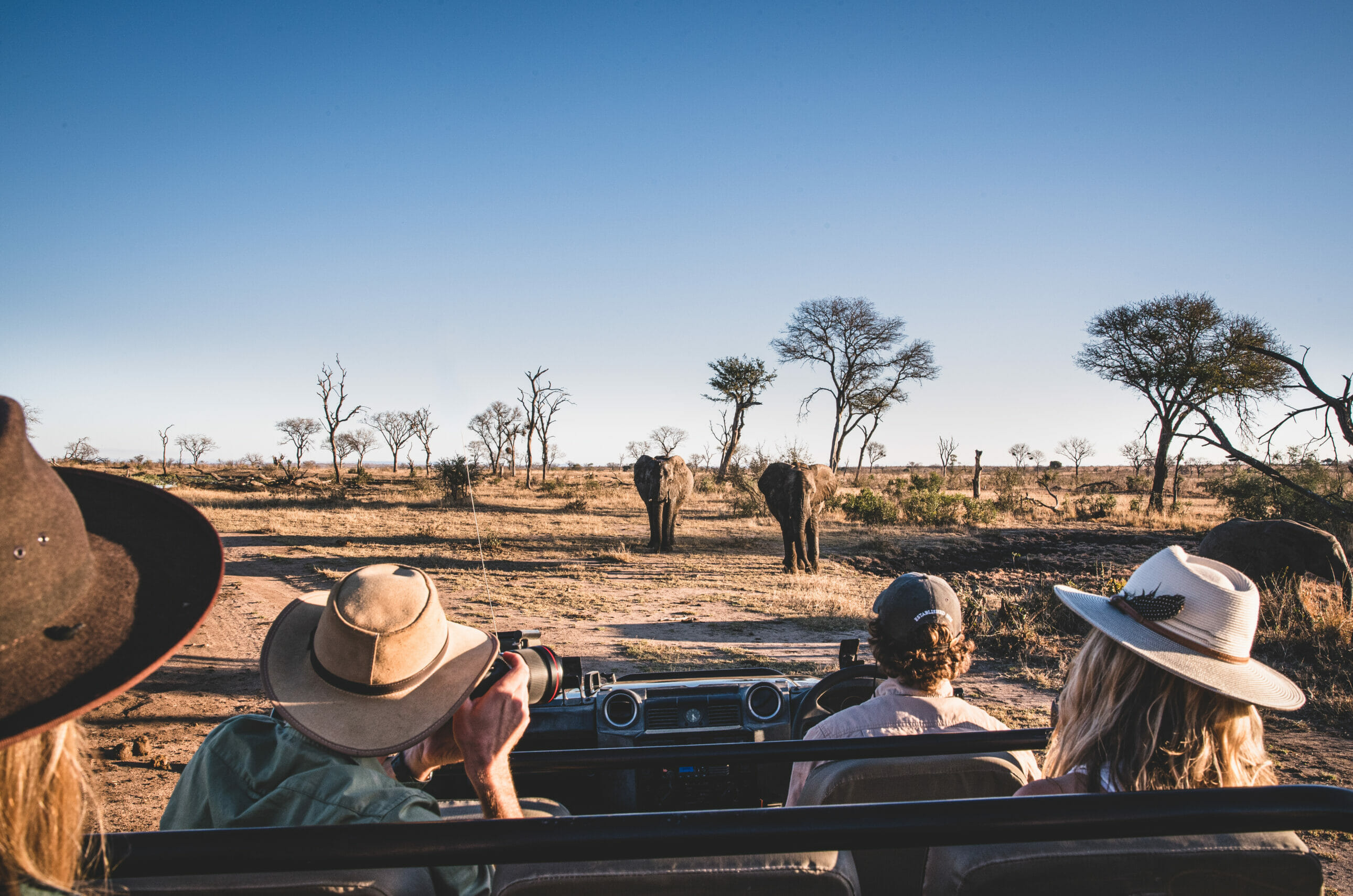 South Africa's Premier Luxury Safari Lodge | Londolozi Game Reserve ...