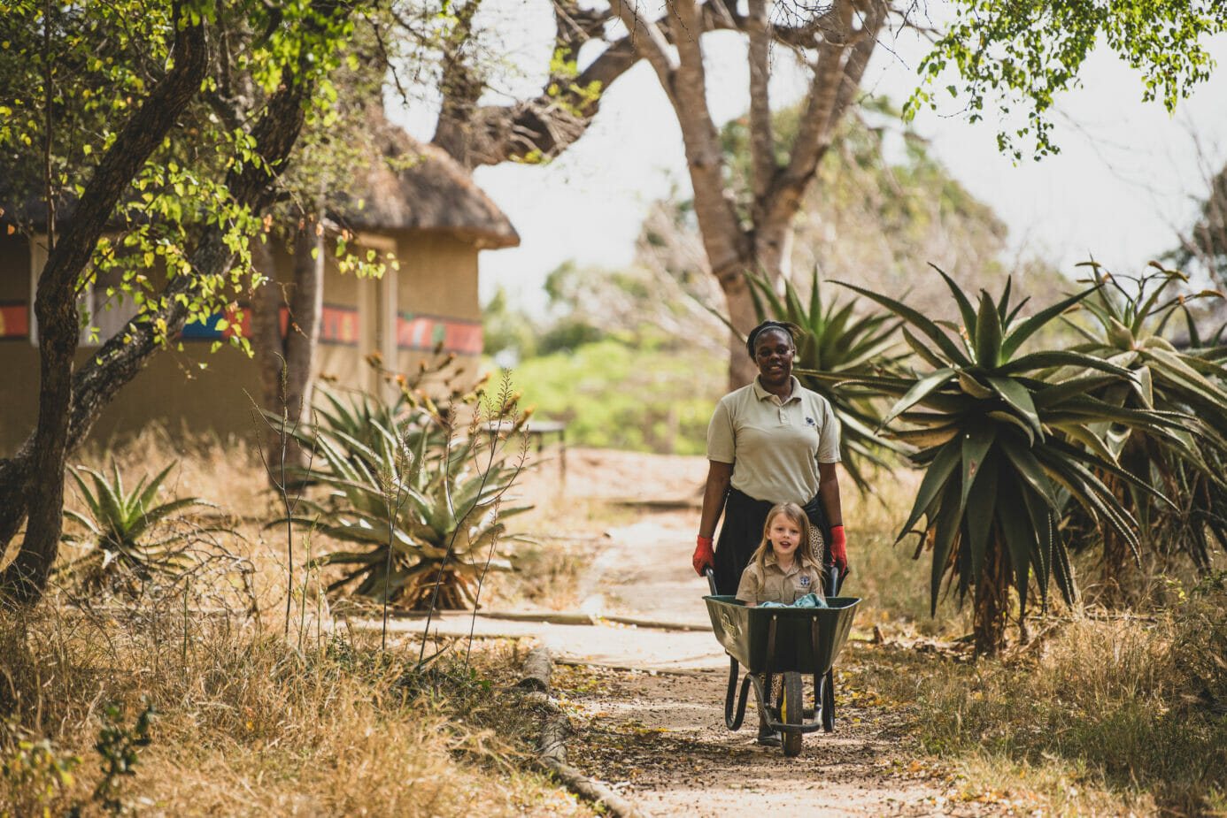 South Africa's Premier Luxury Safari Lodge | Londolozi Game Reserve ...