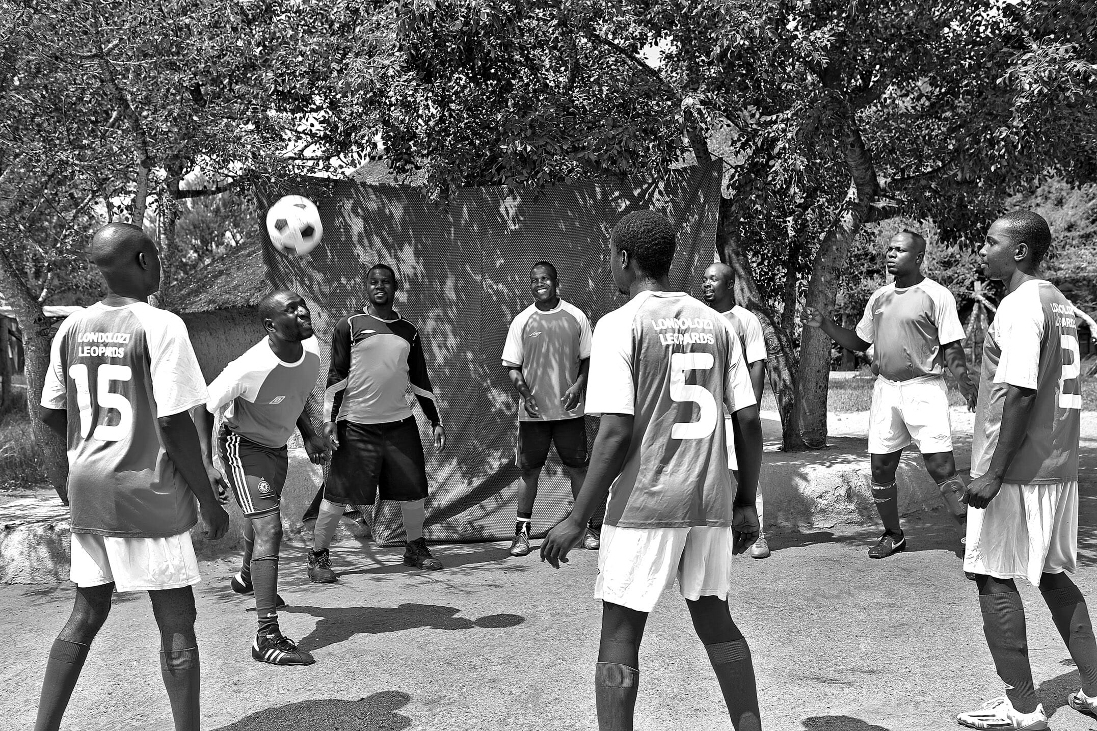 South Africa's Premier Luxury Safari Lodge | Londolozi Game Reserve ...