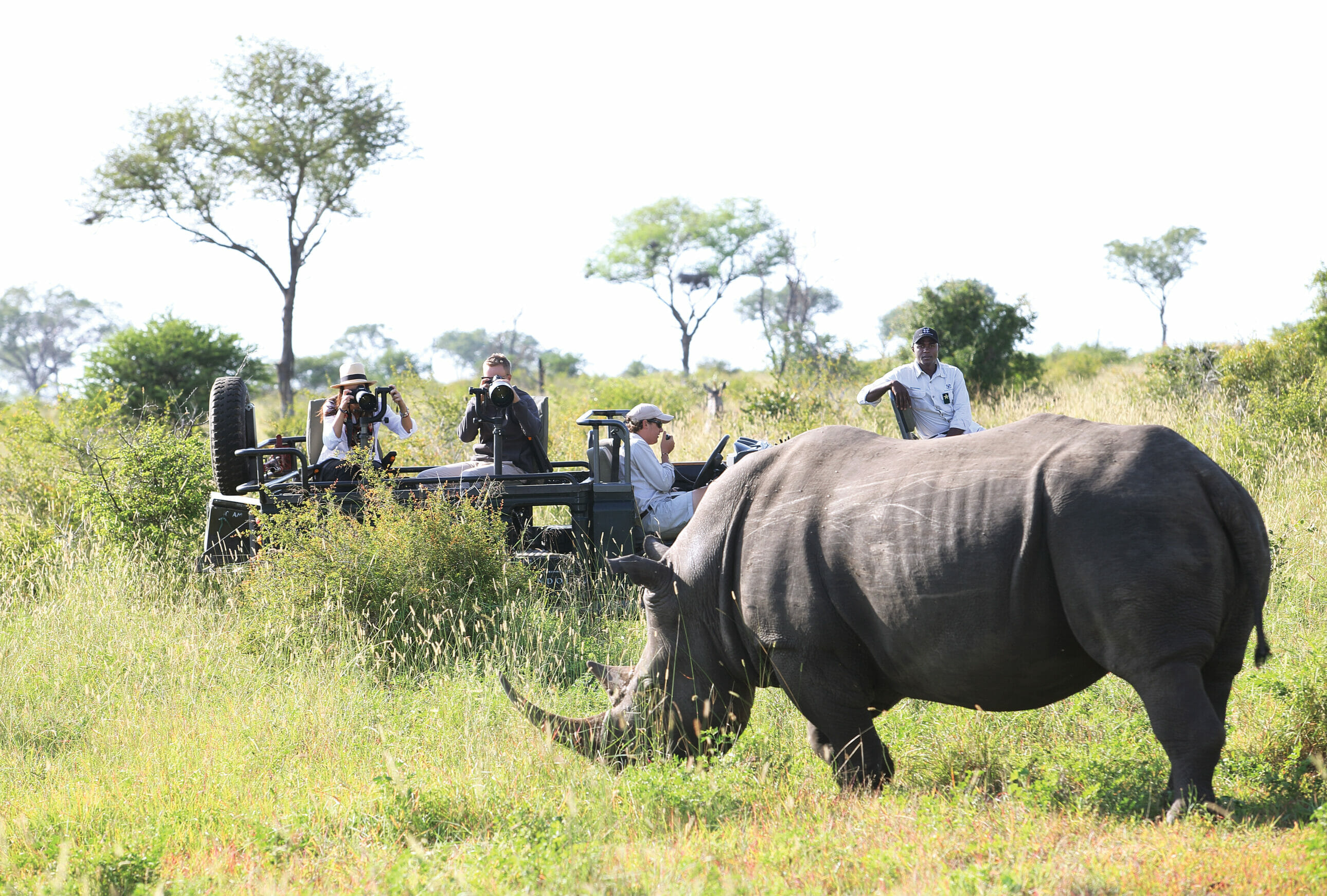 South Africa's Premier Luxury Safari Lodge | Londolozi Game Reserve ...