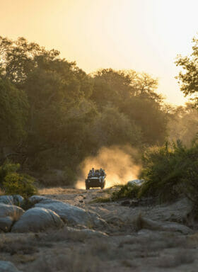South Africa's Premier Luxury Safari Lodge | Londolozi Game Reserve