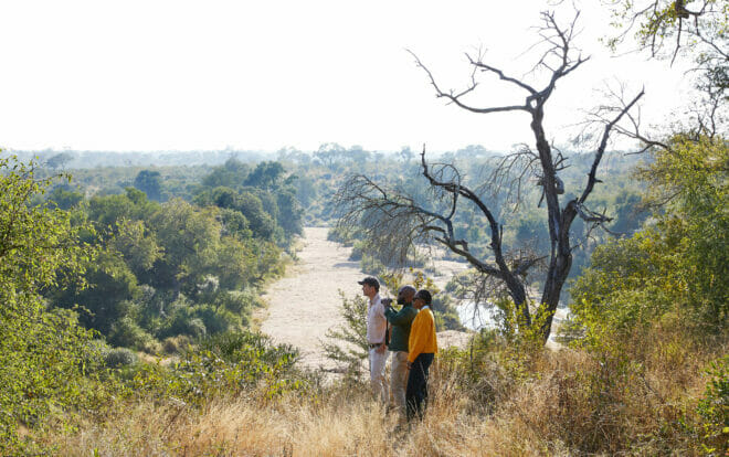 A Day on a Lxury Safari - What to Expect | Londolozi | Londolozi Game ...