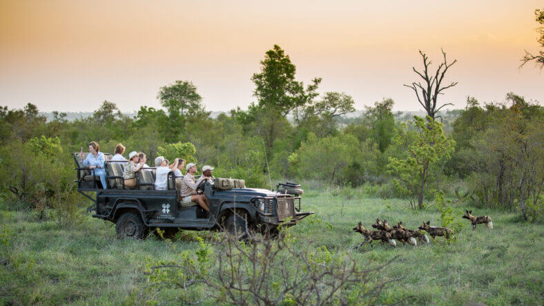 South Africa's Premier Luxury Safari Lodge | Londolozi Game Reserve ...