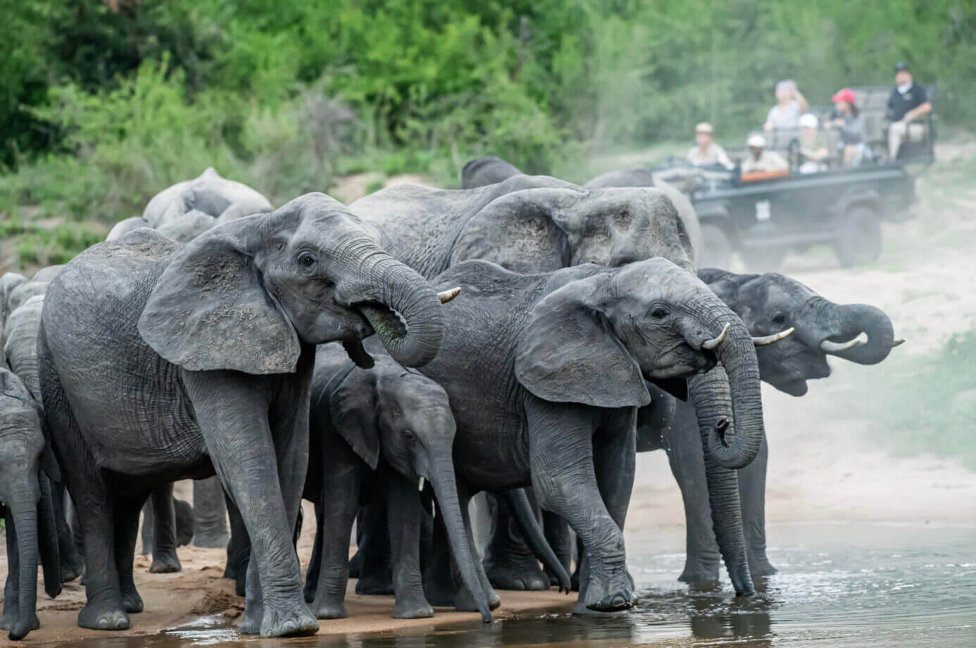 South Africa's Premier Luxury Safari Lodge | Londolozi Game Reserve ...